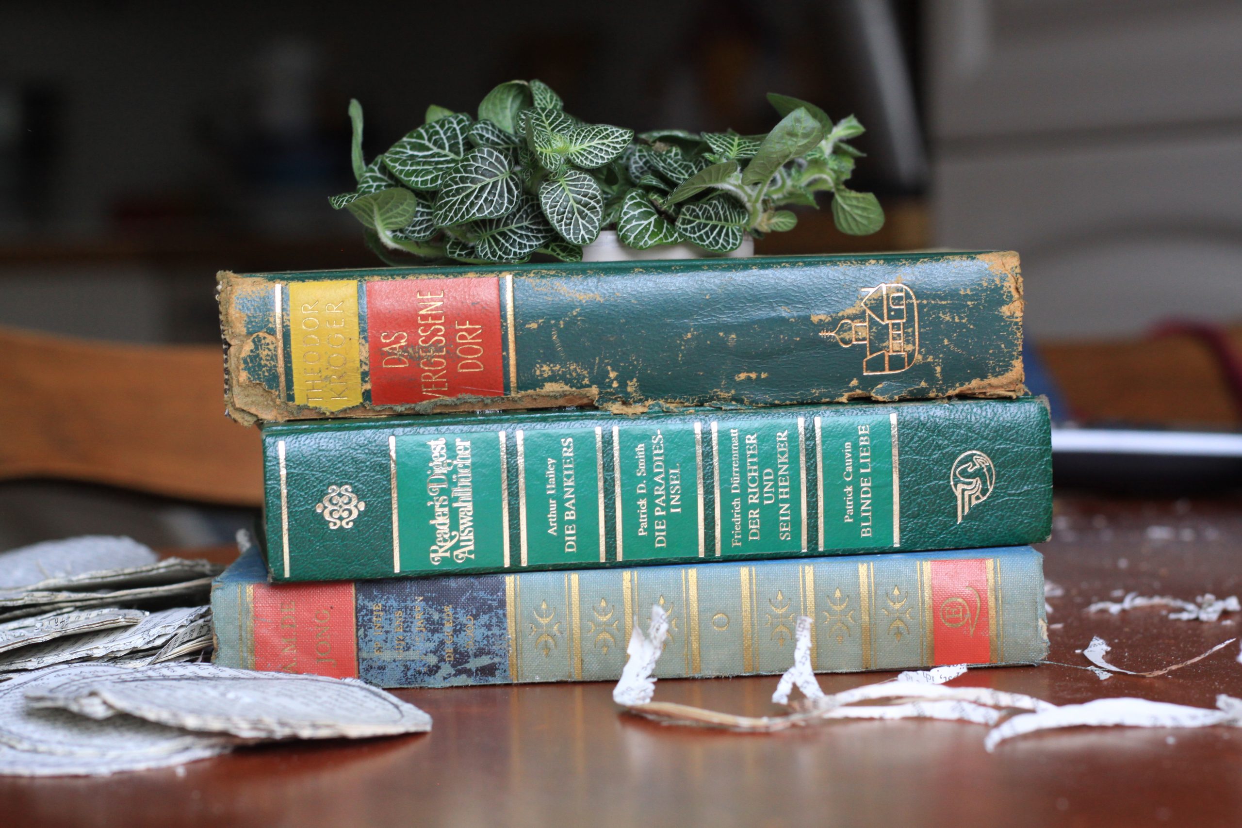 Plant Craft | Bepflanztes Buch - Blumentopf aus alten Büchern basteln ...
